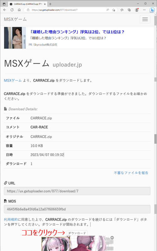 ダウンロード準備完了: MSX追懐記